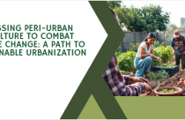 The Difference between a Conference Paper and a Journal Paper - IEREK