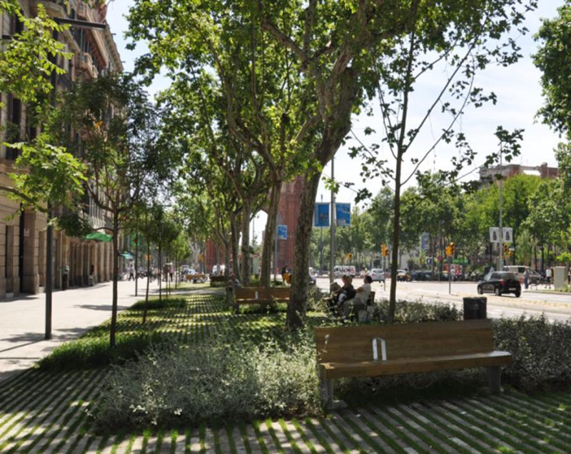 Rewilding Urban Spaces: Restoring Nature in Cities - IEREK
